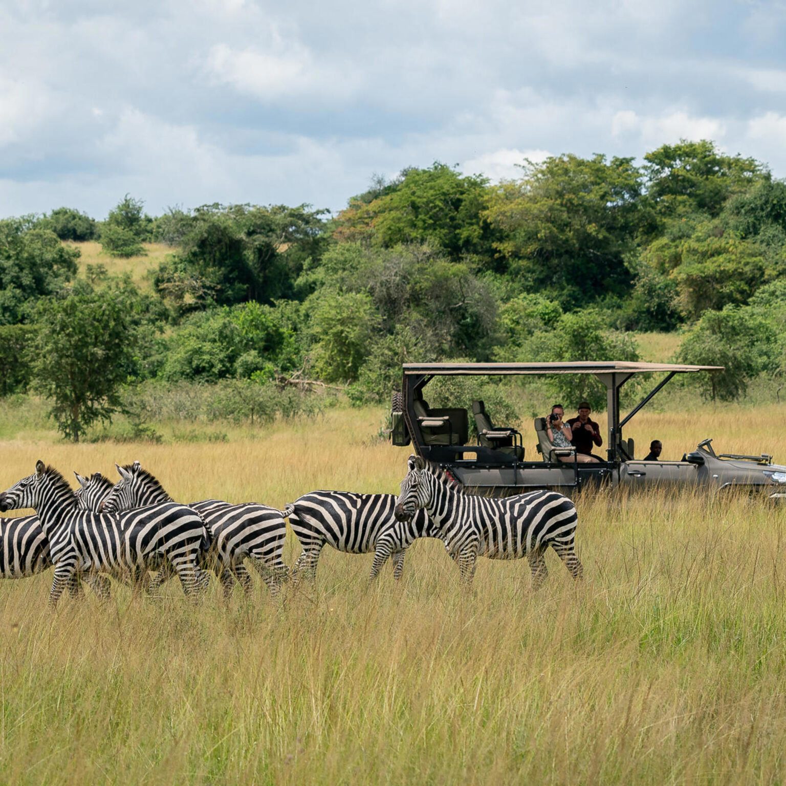 Rwanda Safari for Small Groups and Families Guide 2026